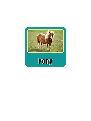 WALK-THRU | Keystone Safari